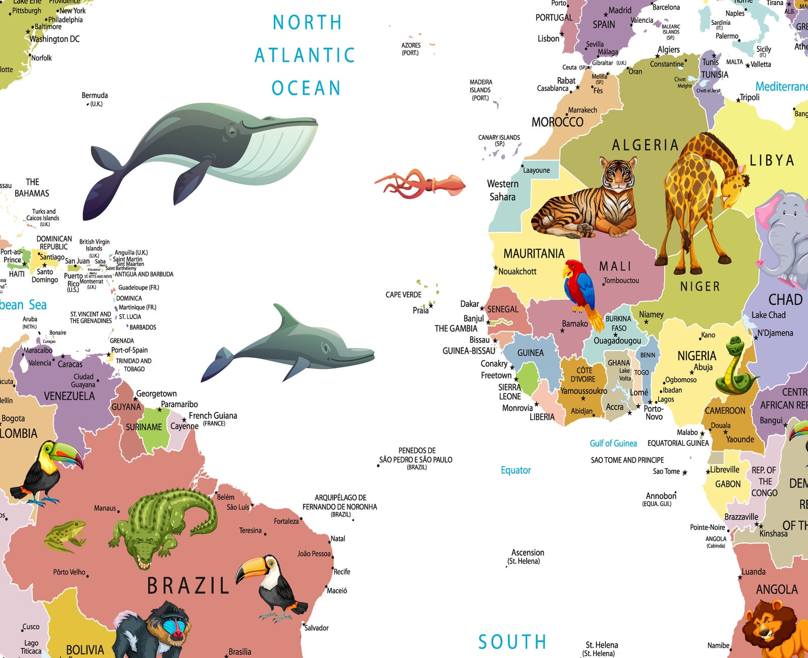 Animals World Map for Kids Atlas Print Continent World Map - Etsy