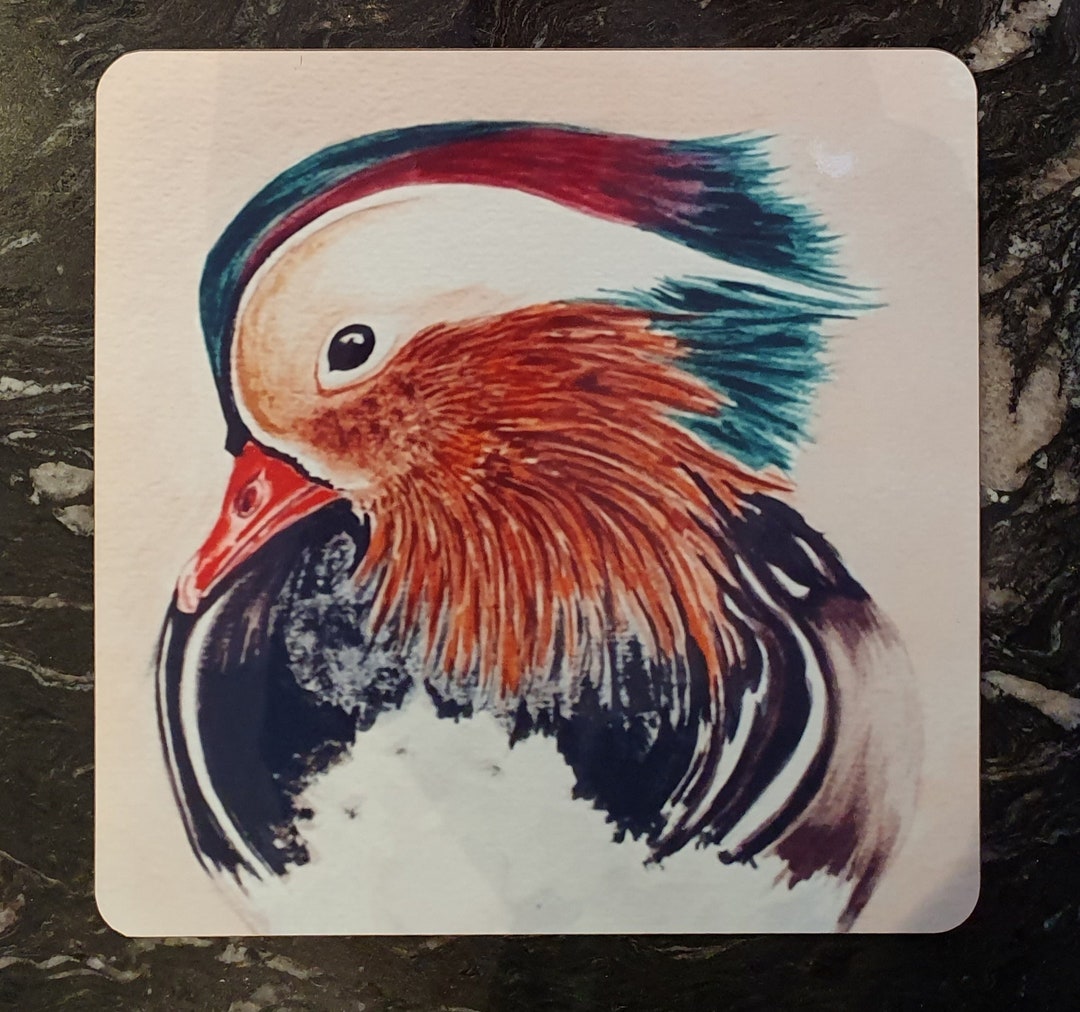 Mandarin Duck Placemats X 2 - Etsy