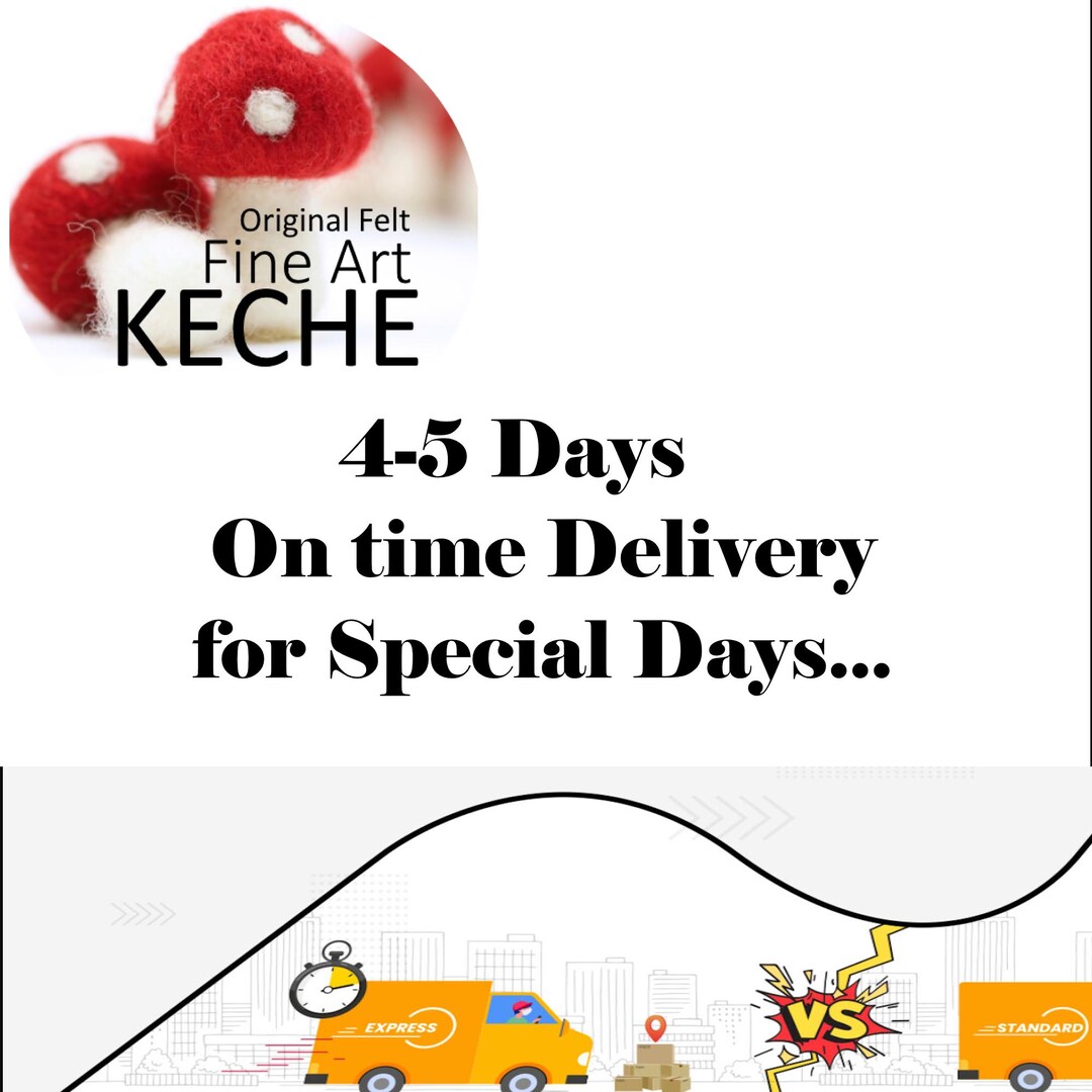 Express Shipping- Get It on Time - Delivery Time 2-5 Days - Etsy