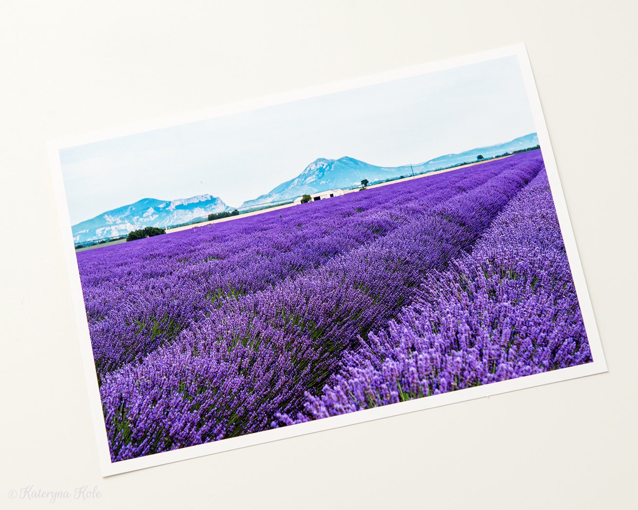 Lavender Field Fine Art Photo Print in Valensole Provence - Etsy