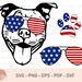 Pit bull USA Flag Glasses Paw United States Flag America | Etsy