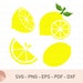 Lemon Svg, Lemon Slice Svg, Fruit Svg, Easy Peasy Lemon Squeezy Svg ...