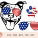 Pit Bull USA Flag Glasses Paw United States Flag America - Etsy