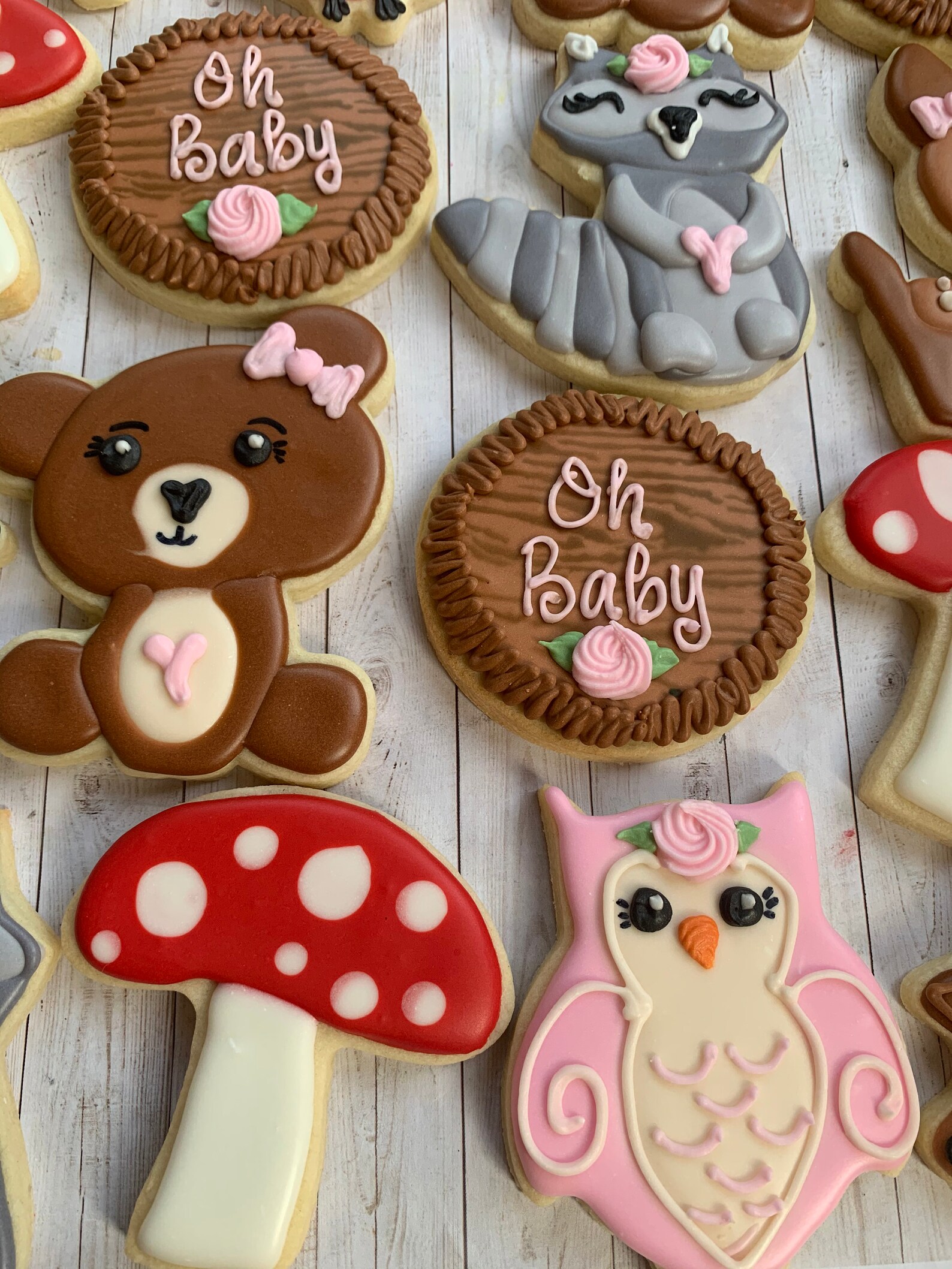 Woodland Animal Royal Icing Cookies - Etsy