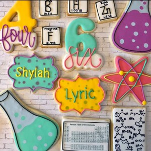 Science Theme Birthday Royal Icing Cookies - Etsy