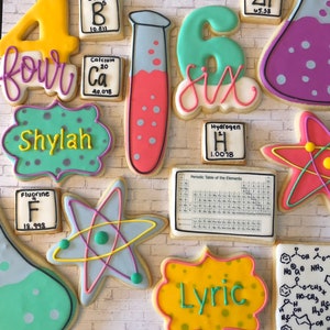 Science Theme Birthday Royal Icing Cookies - Etsy