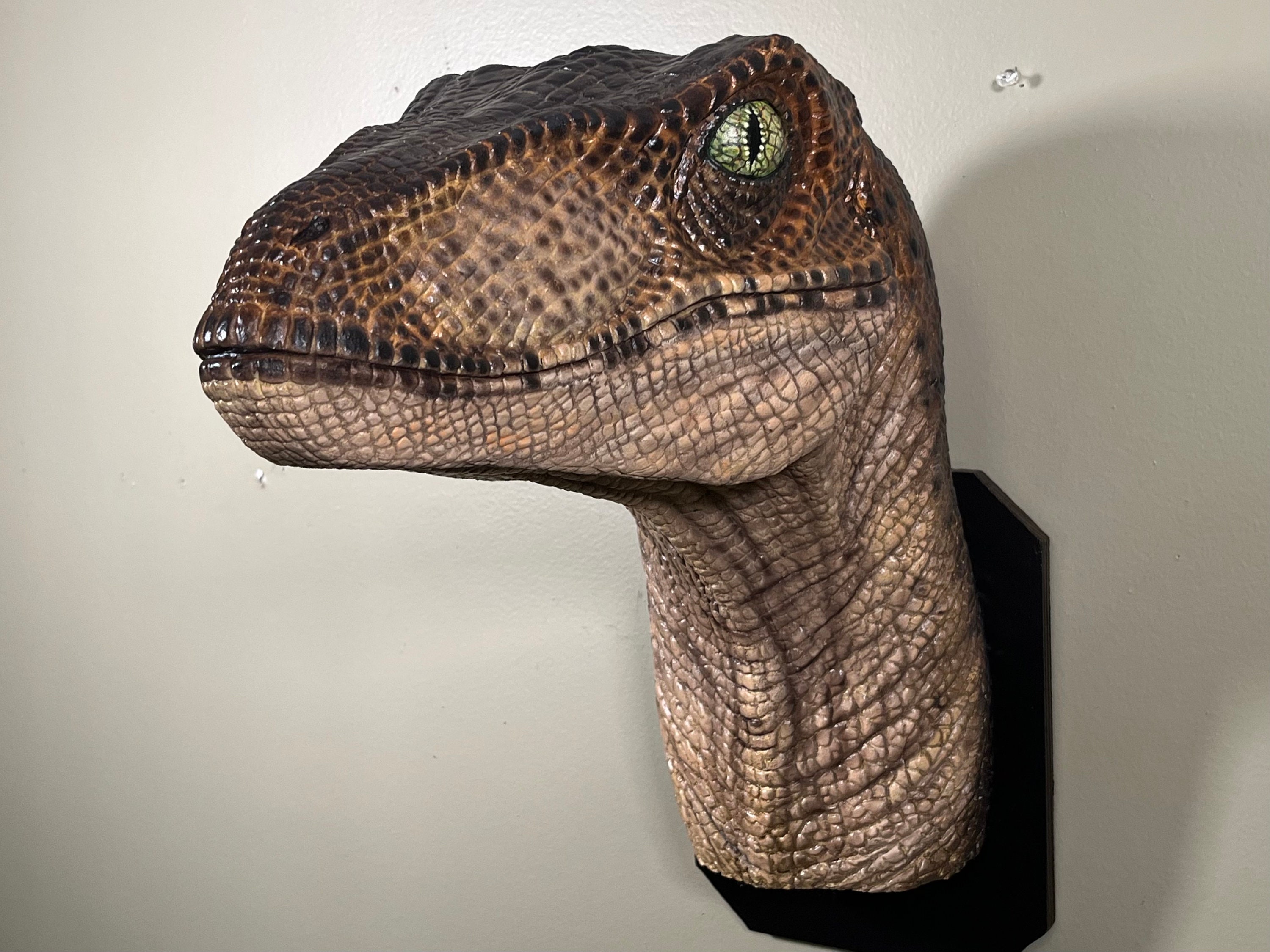 Velociraptor Bust Hanging Wall Mount - Etsy