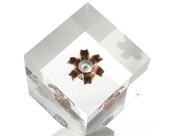 Hollow Paperweight | Etsy