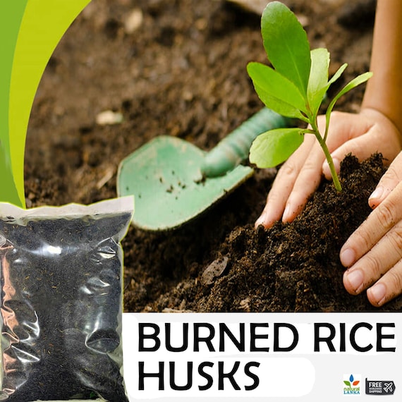 100% Natural Rice Husk Natural Organic Compost Hydroponic Growing Media ...