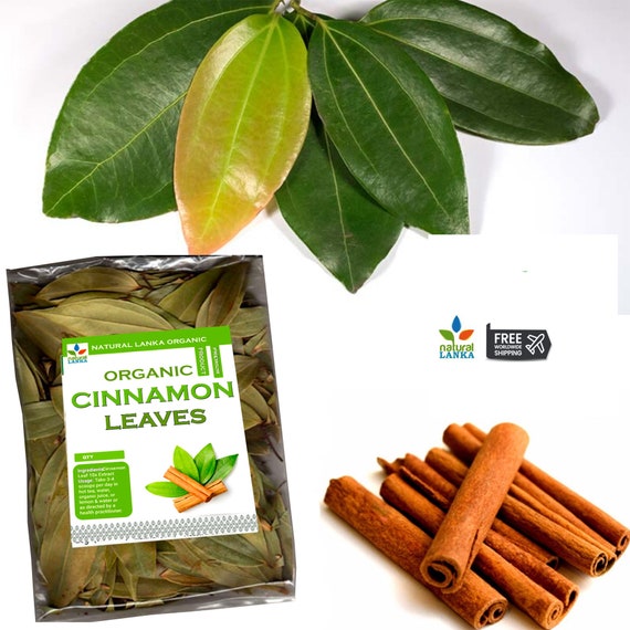 Sun Dried Cinnamon Leaves 100% Pure and Organic Cinnamon | Etsy