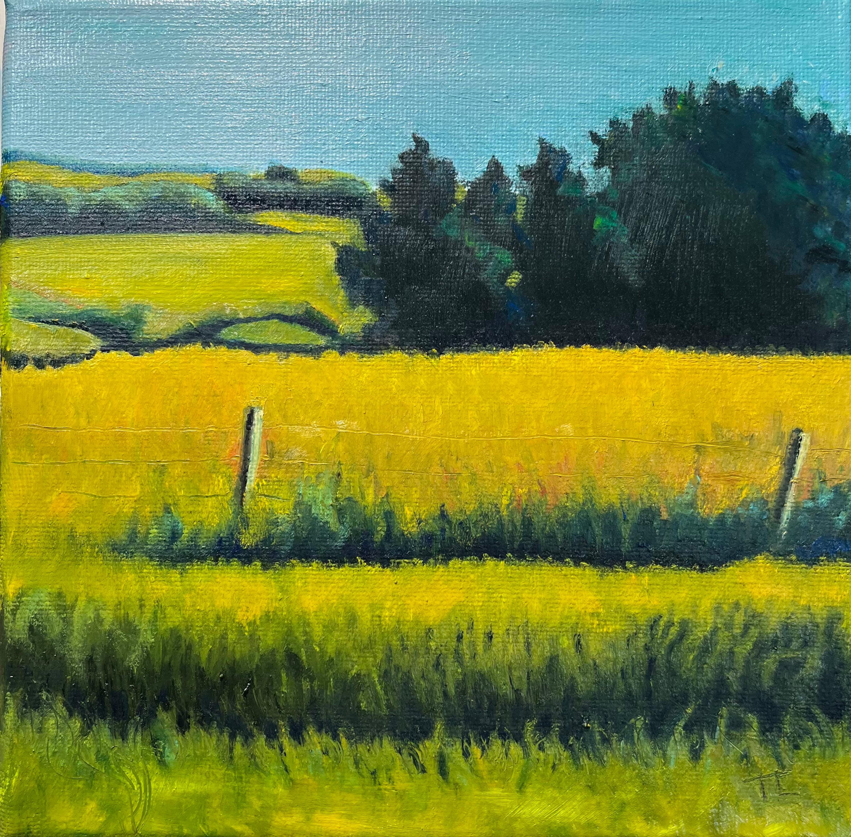 Waco Nebraska - Etsy UK