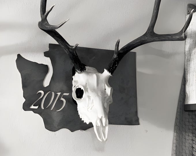 European Skull Mount, Metal Woods Theme, Deer Head Display. - Etsy