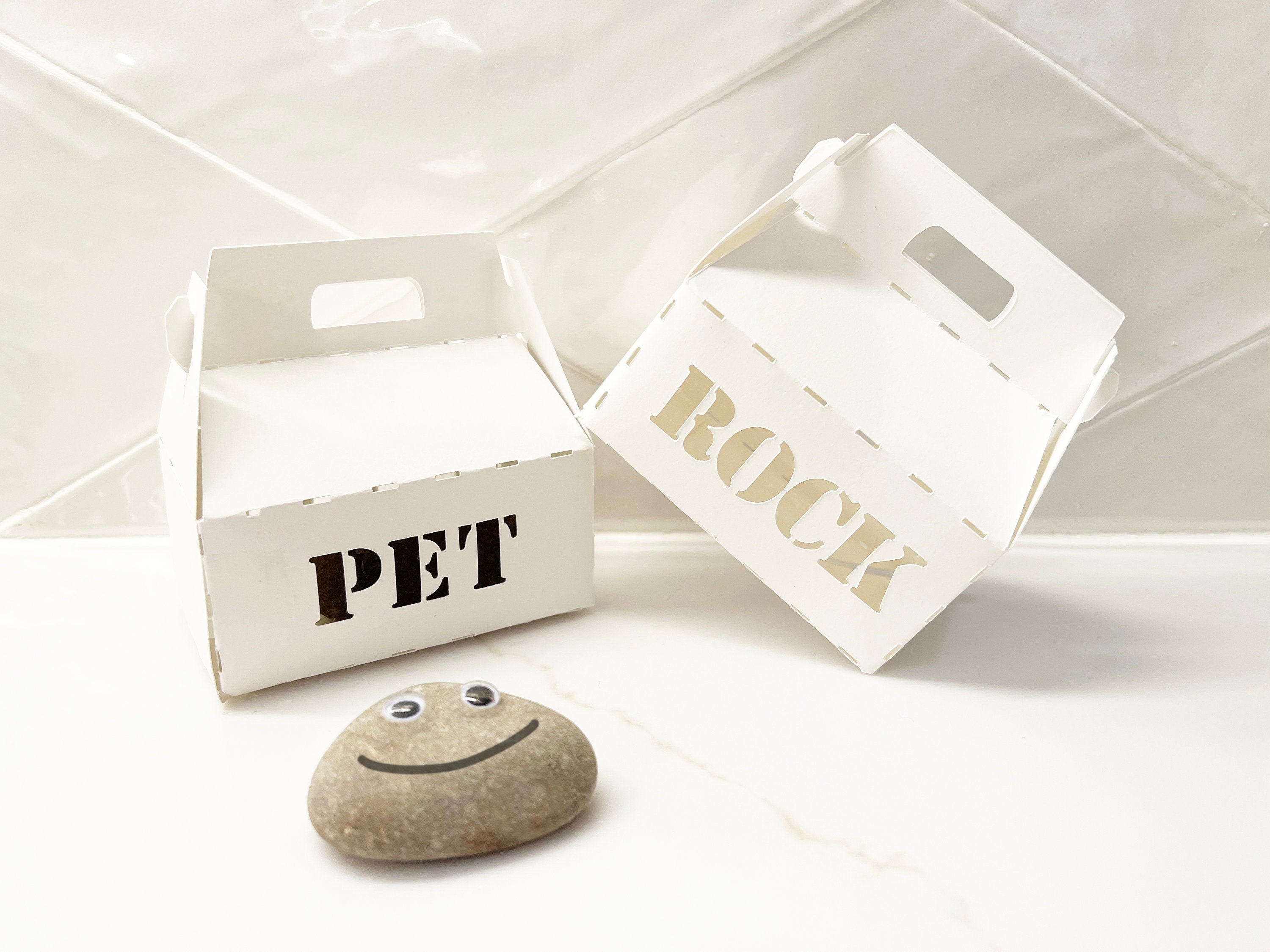 Pet Rock Carrier Box SVG for Cricut or Silhouette / Party - Etsy UK