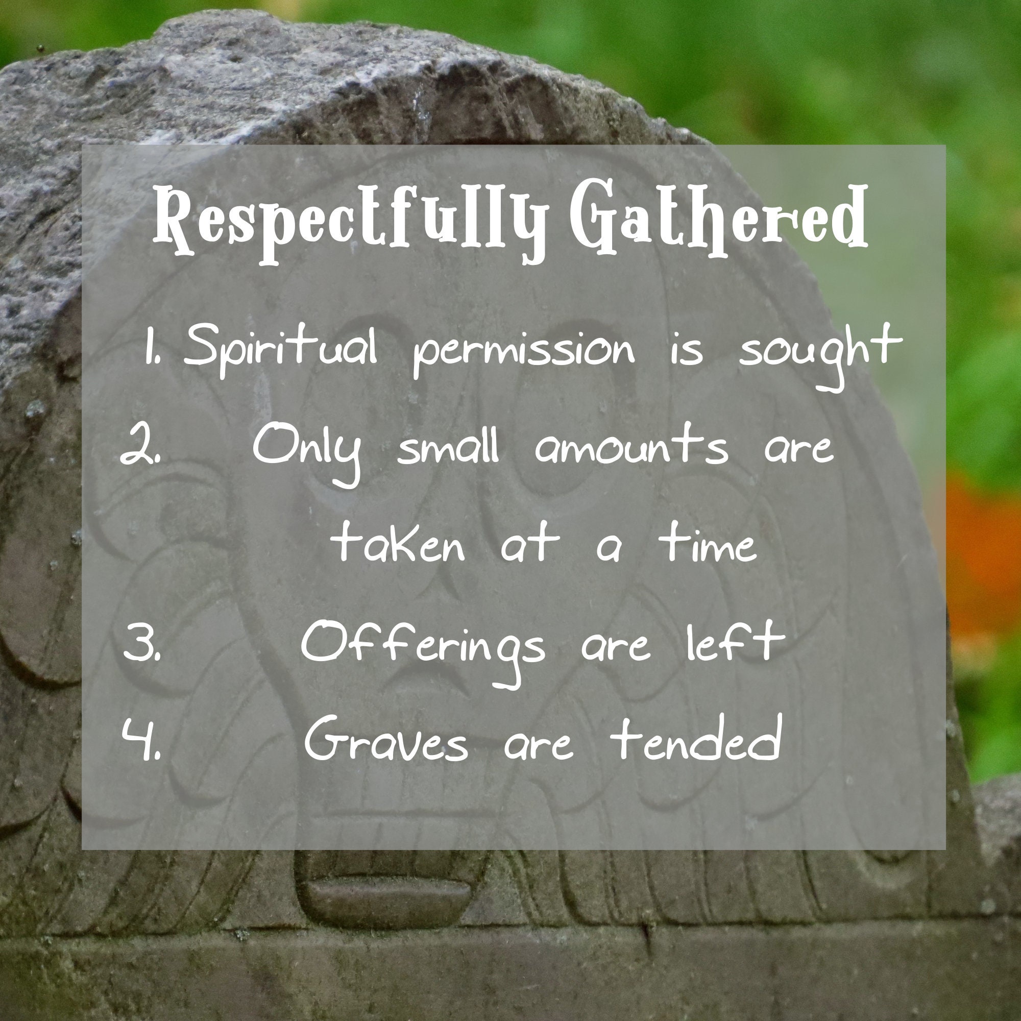 Respectfully Collected Graveyard Dirt for Spells, Spirit Work (20ml) - Etsy