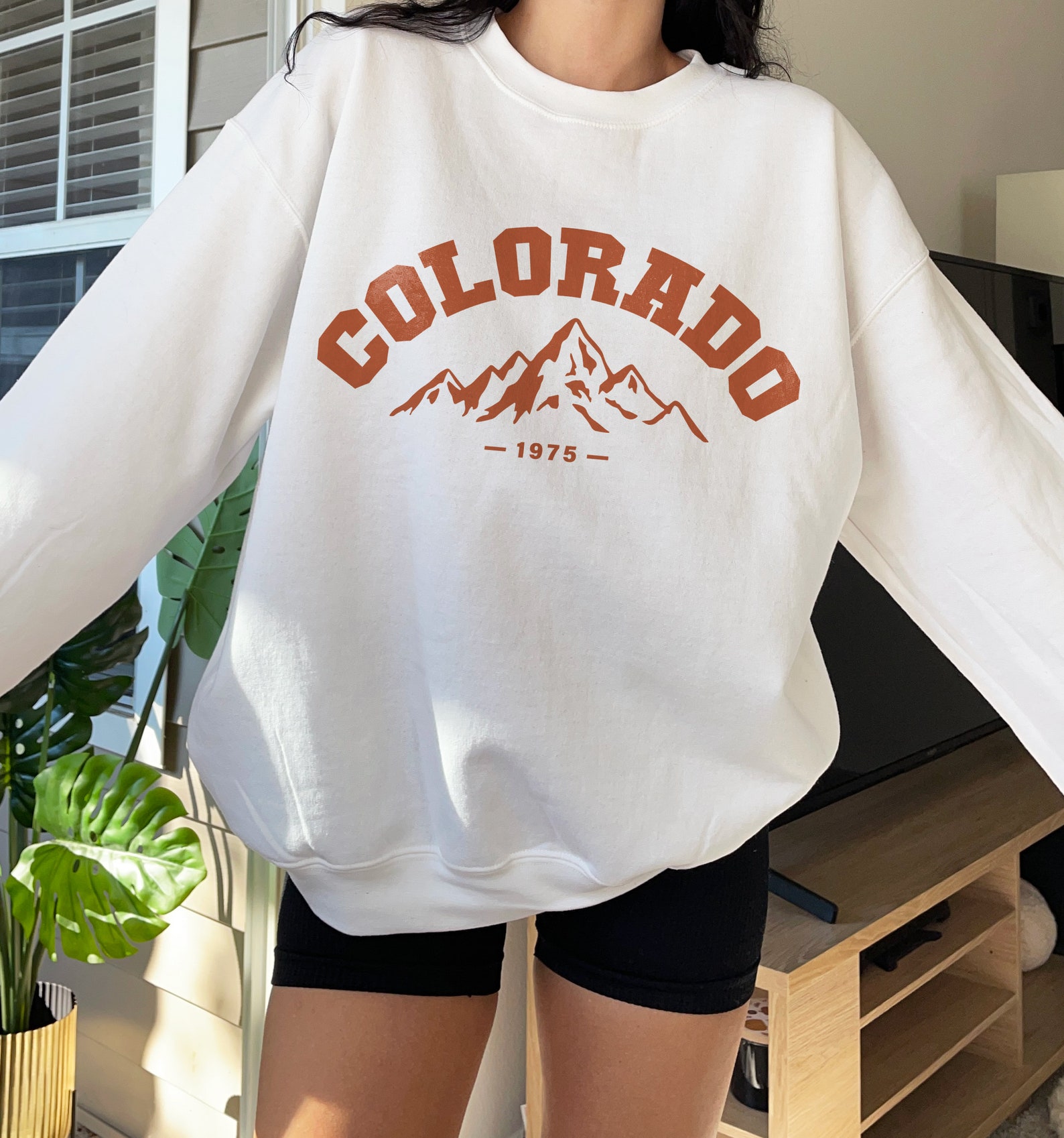Colorado Sweatshirt Mountain Sweatshirt Trendy Sweatshirt Oversized ...