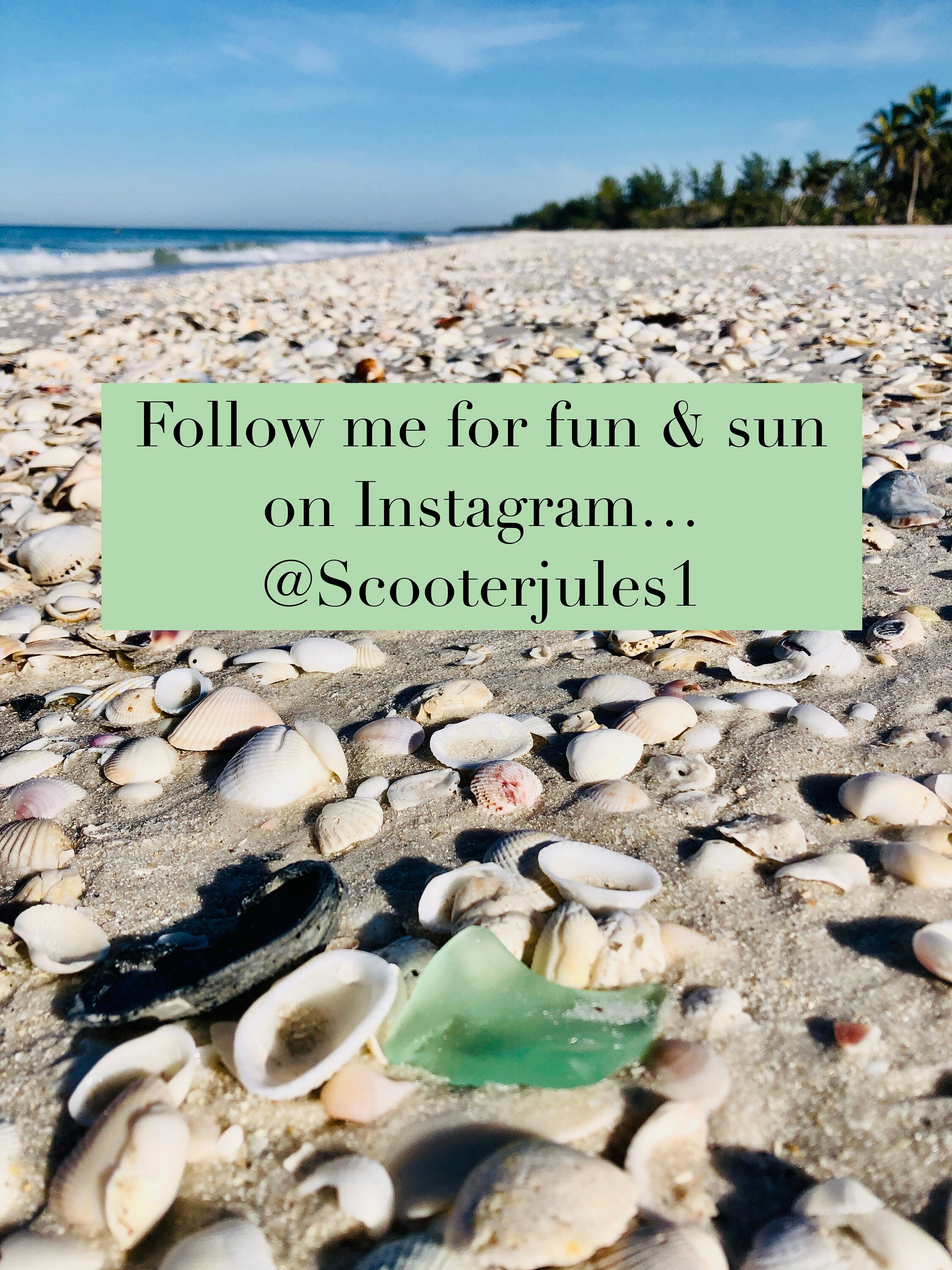 30 Worm Snail Seashells, 3/42 Coastal Natural Raw Decor, Arts Craft ...