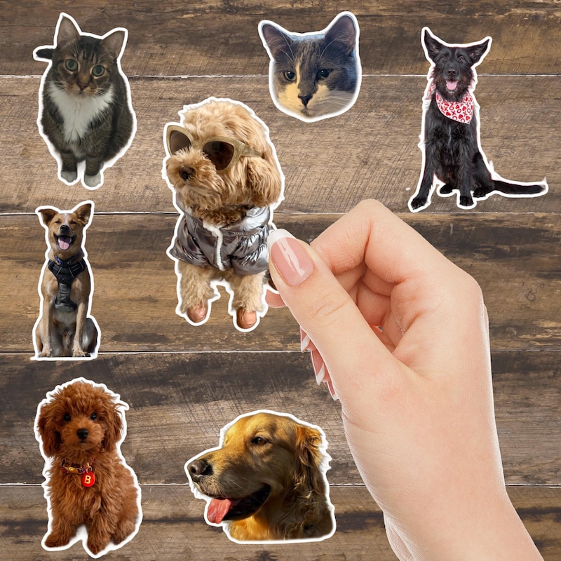 Custom Pet Stickers - Etsy