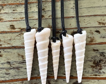 Corkscrew Seashell - Etsy