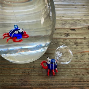 Float Glass Ball for Aquariums, Pools, 1” - Etsy