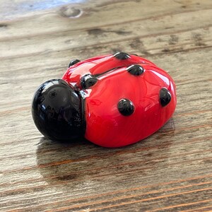 Lampwork Ladybug Display, Decoration, Figurine, Large Glass Ladybird - Etsy