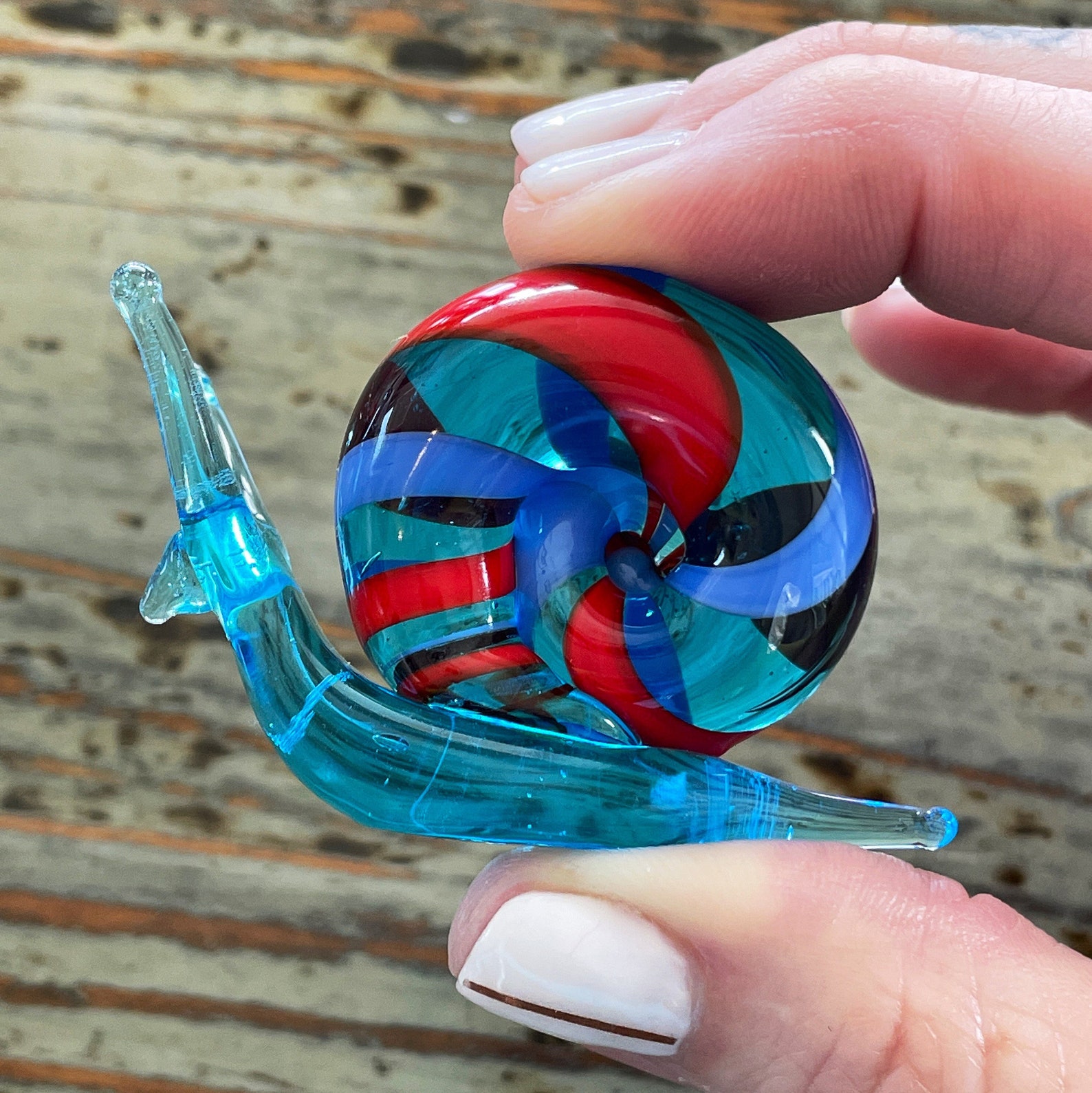 Lampwork Garden Snail, Colorful Large Glass Snail Display, Decoration ...