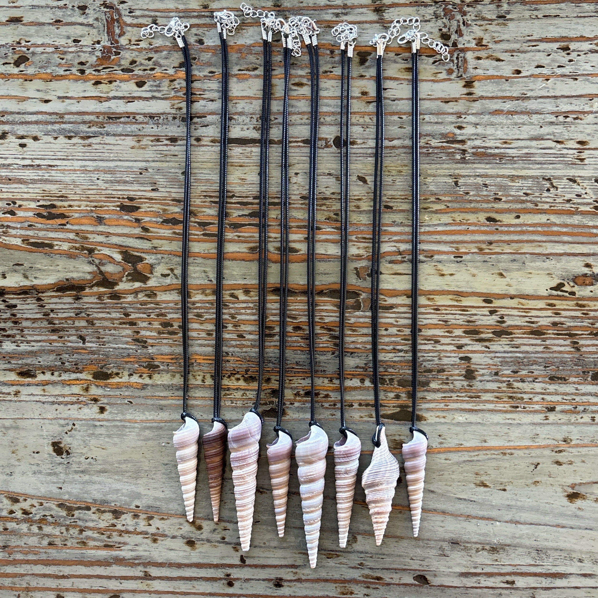 Natural Shell Necklace From the Sea of Cortez, Black Corded Seashell ...