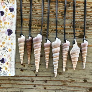 Natural Shell Necklace From the Sea of Cortez, Black Corded Seashell ...