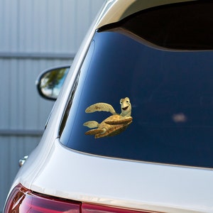 CRUSH Finding Nemo - Full Color Vinyl Decal Sticker - Vehicle, Car ...