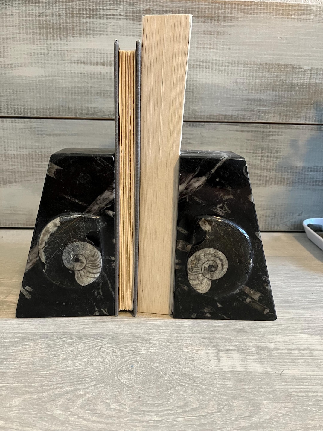 Rare Black Marble Orthoceras Ammonite Fossil Bookend. Decor. Nature ...