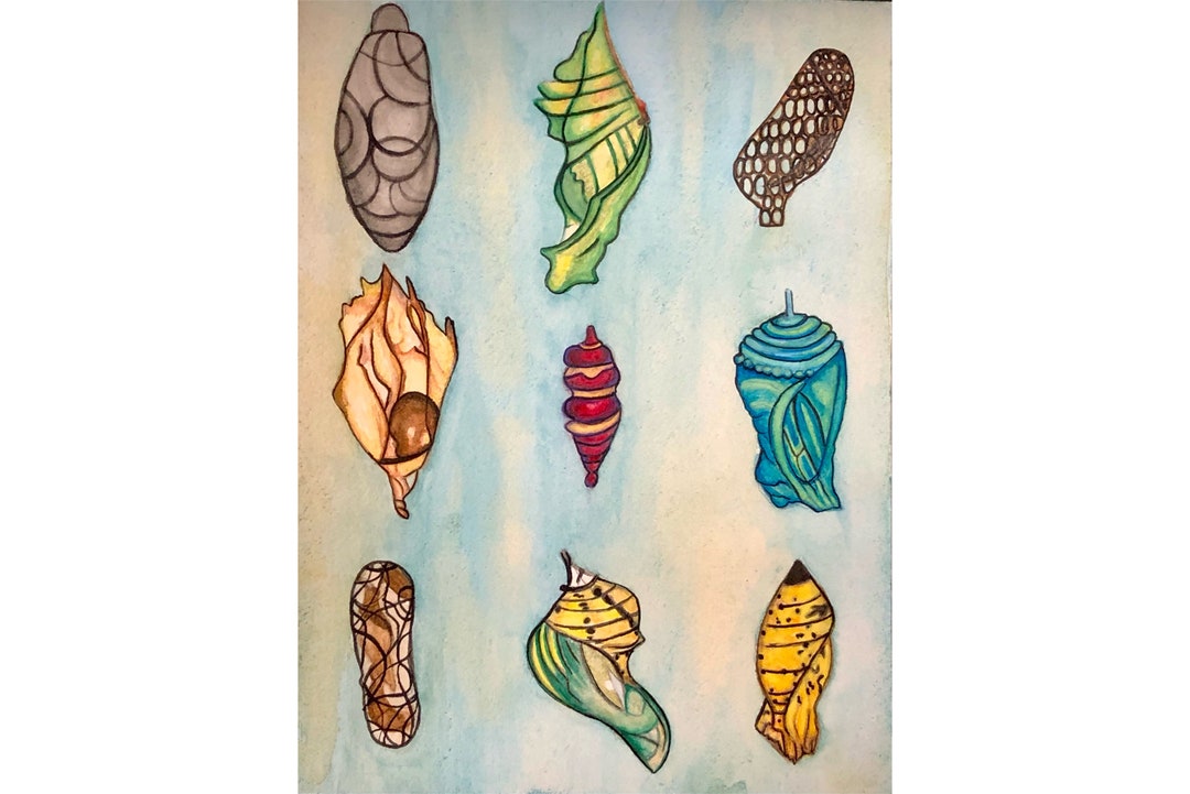Cocoon Studies Watercolor - Etsy