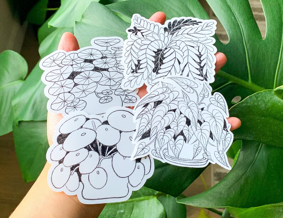 Plant Sticker Pack Laptop Sticker Planner Sticker - Etsy