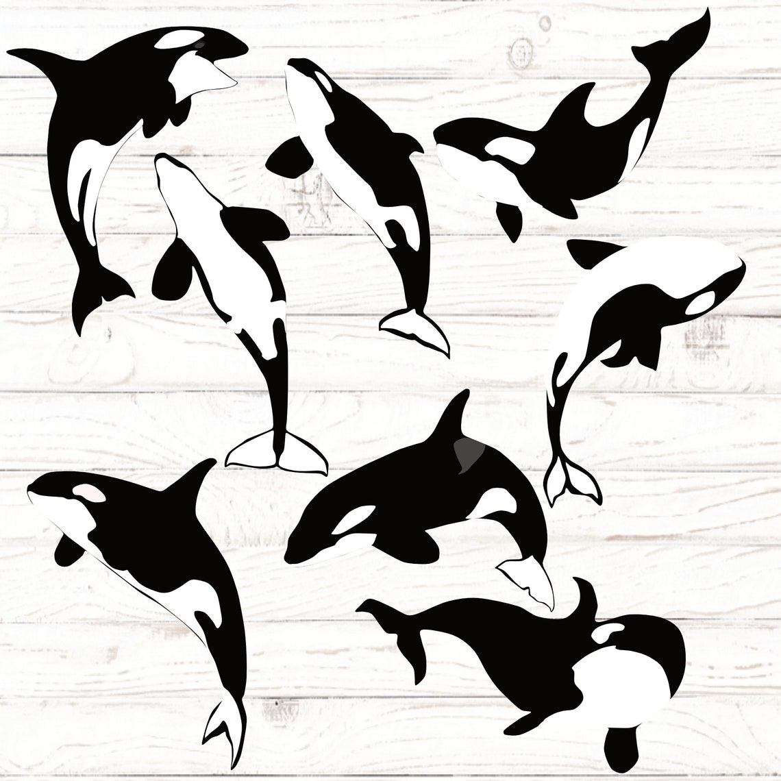 Orca svg killer whale svg orca killer whale svg orca bundle | Etsy
