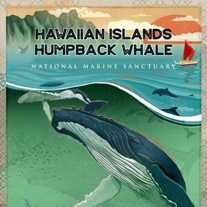 NOAA Poster: Hawaiian Islands Humpback Whale National Marine Sanctuary ...