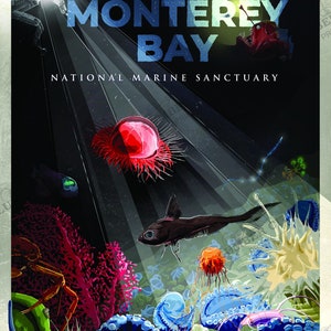 Monterey Bay NOAA Poster National Marine Sanctuary System Oceanic ...
