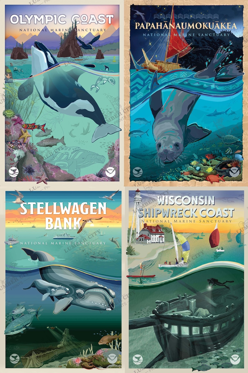 NOAA Posters: National Marine Sanctuary System Posters Oceanic Print ...