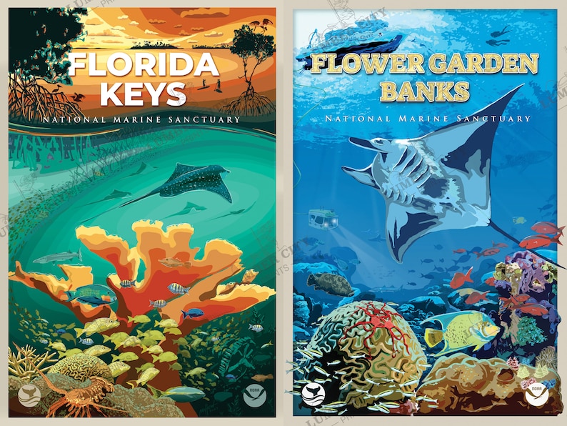 NOAA Posters: National Marine Sanctuary System Posters Oceanic Print ...