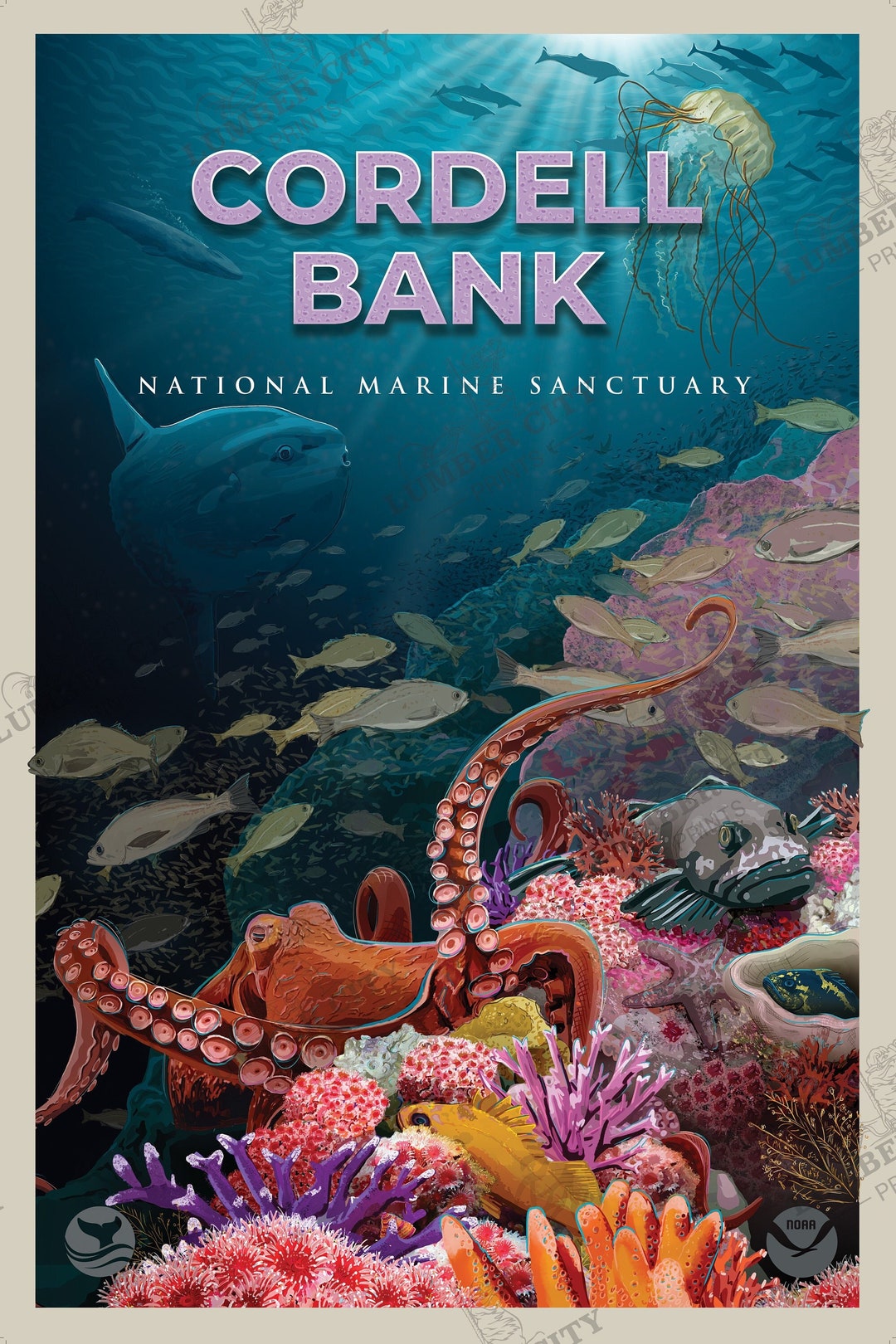 Cordell Bank NOAA Poster National Marine Sanctuary System Oceanic ...