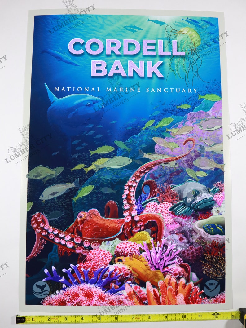 Cordell Bank NOAA Poster National Marine Sanctuary System Oceanic ...