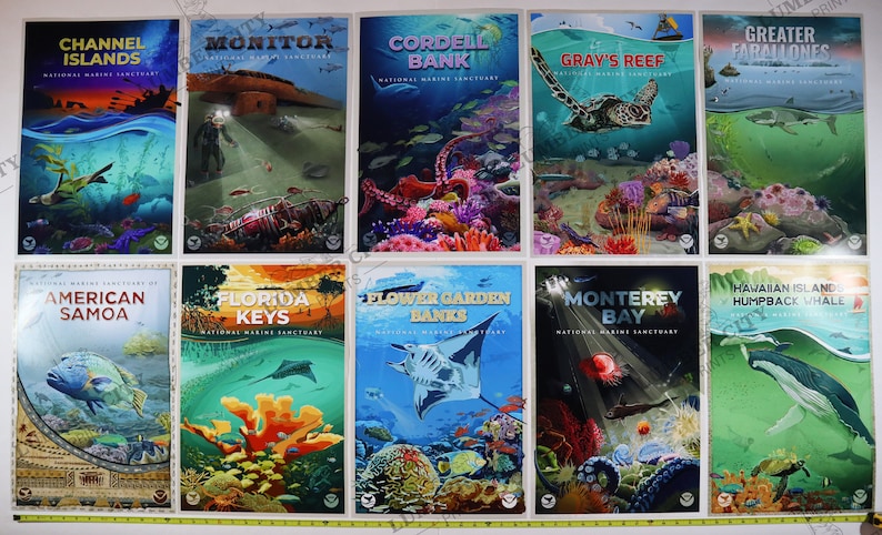 SET of (14) National Marine Sanctuary System Posters NOAA Oceanic Print ...