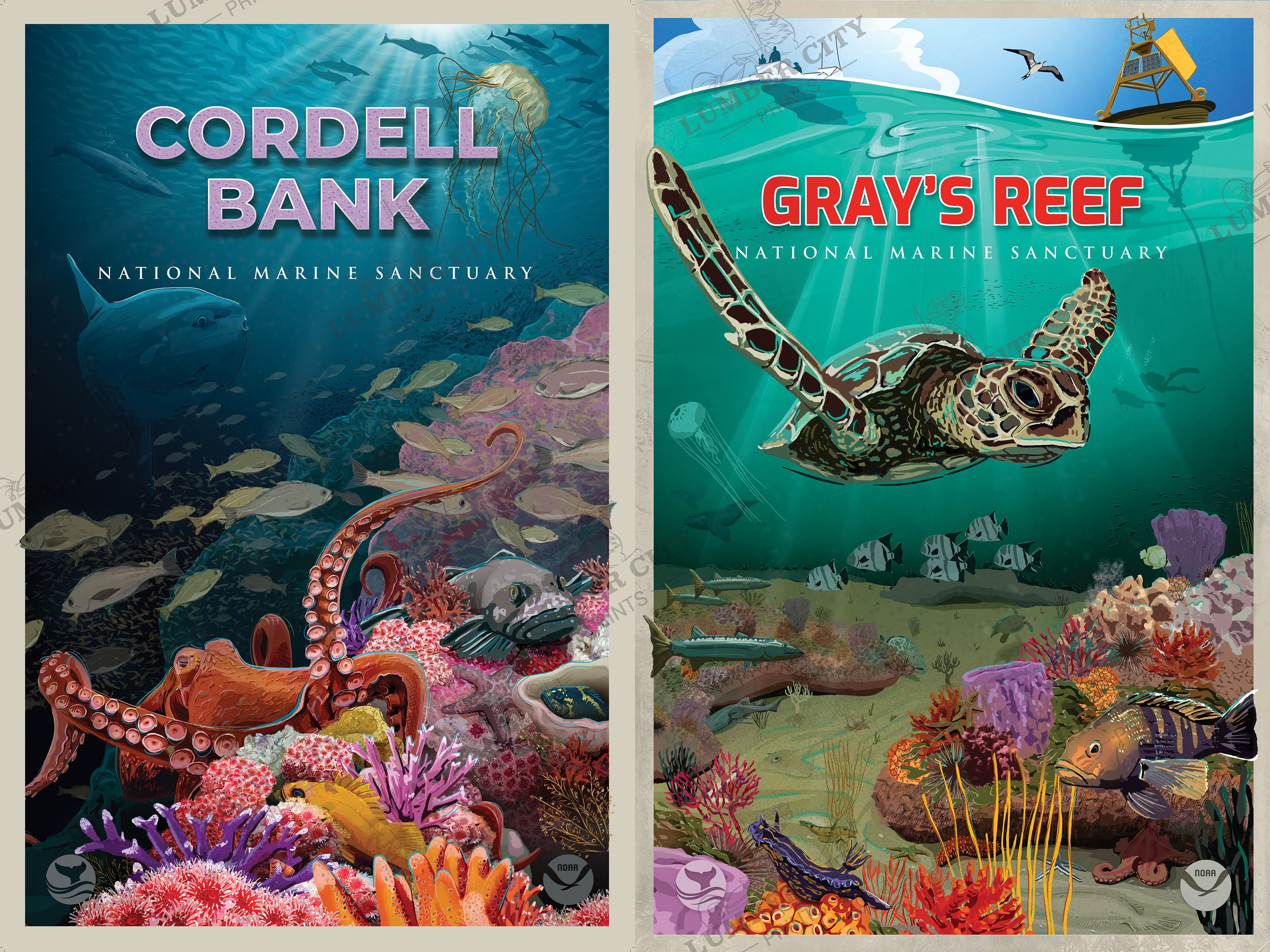 NOAA Posters: National Marine Sanctuary System Posters Oceanic Print ...