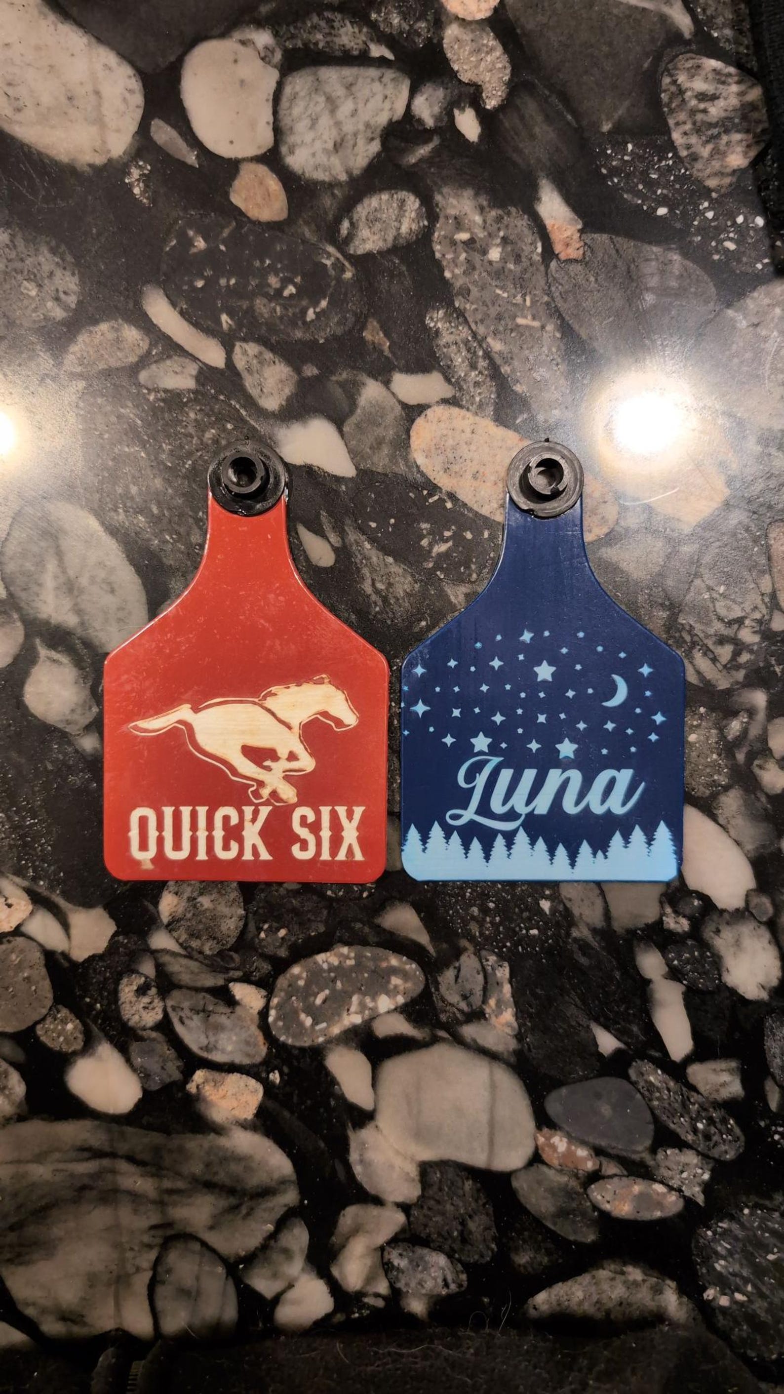 Custom Made Laser-etched Cow Ear Tags - Durable Personalized Ritchey ...