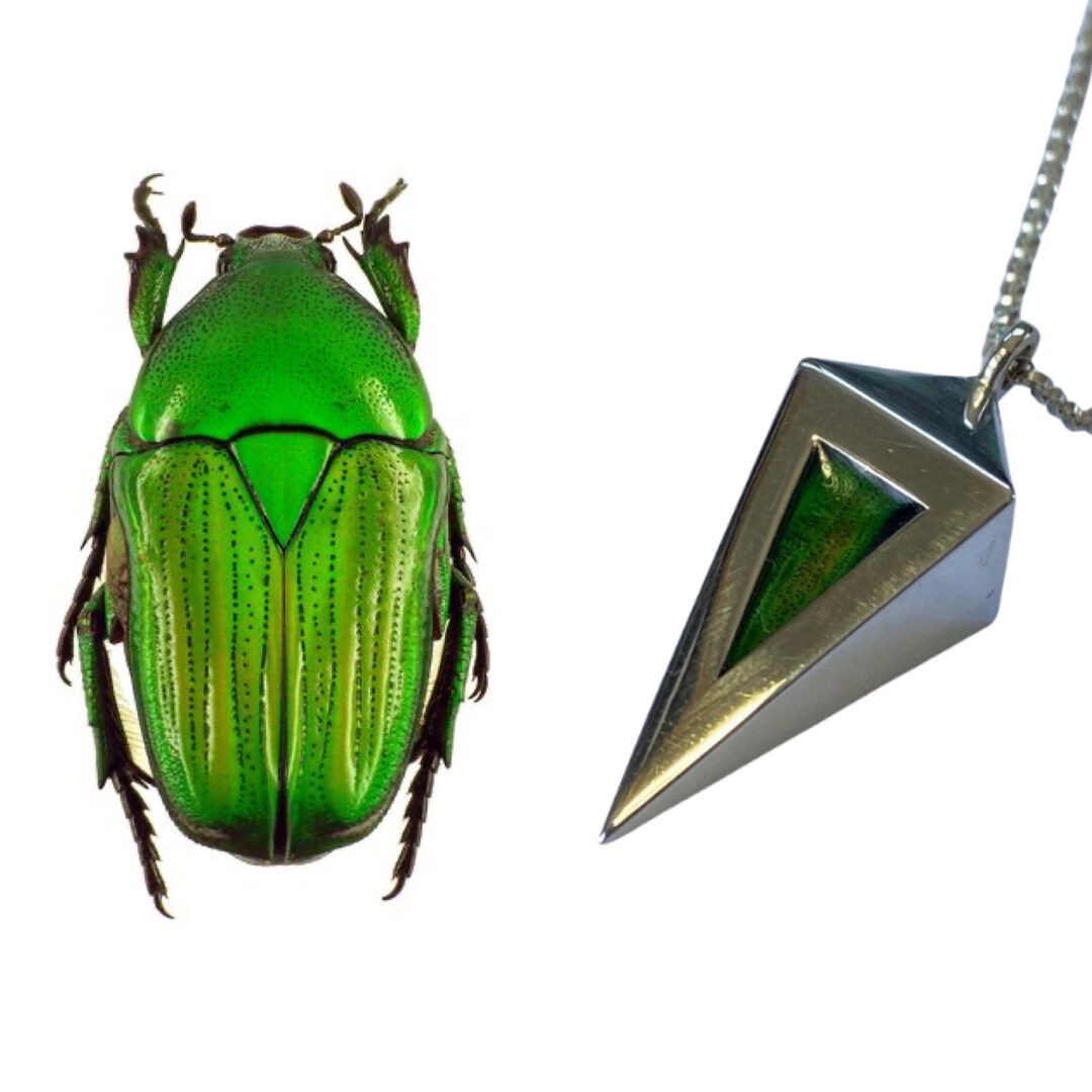 Pyramid Beetle Pendant 'euchlolopus Laetus and - Etsy