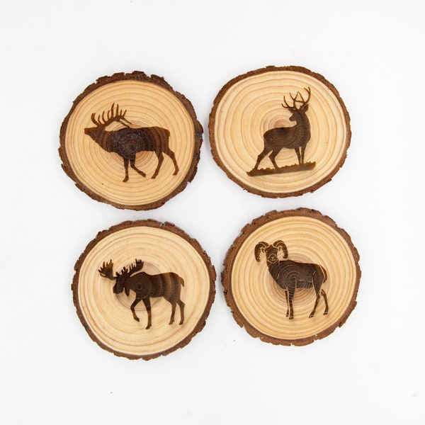 Wildlife Coasters - Etsy