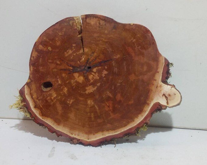 Tree Disc, Wooden Disc, Wood, Wooden Decoration, - Etsy UK