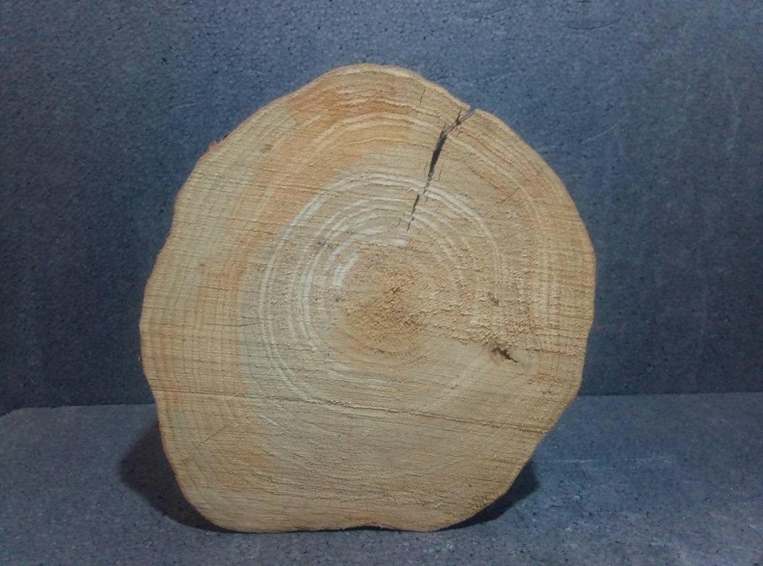 Tree Disc, Wooden Disc, Wood, Wooden Decoration, Handicraft Wood ...