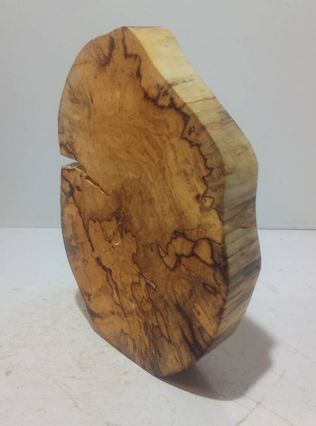 Tree Disc, Wooden Disc, Wood, Wooden Decoration, Decorative Disc ...