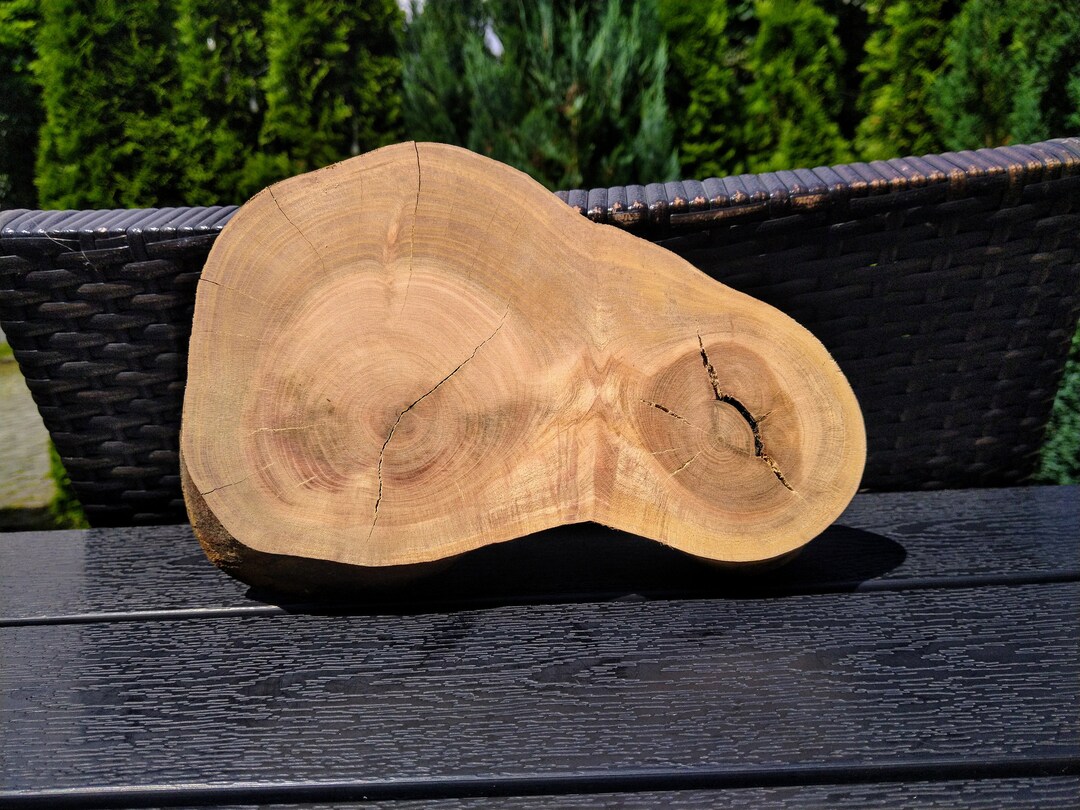 Baumscheibe, Doppelbaumscheibe, Bastelholz, Holzscheibe ,Holz ,Holzdeko, gestockt, Kirsche ...
