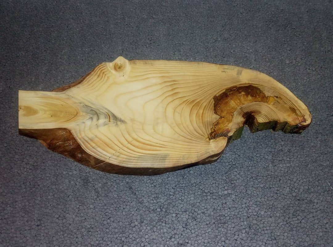 Tree Disc Wooden Disc Spruce Wood Disc Storage Board - Etsy