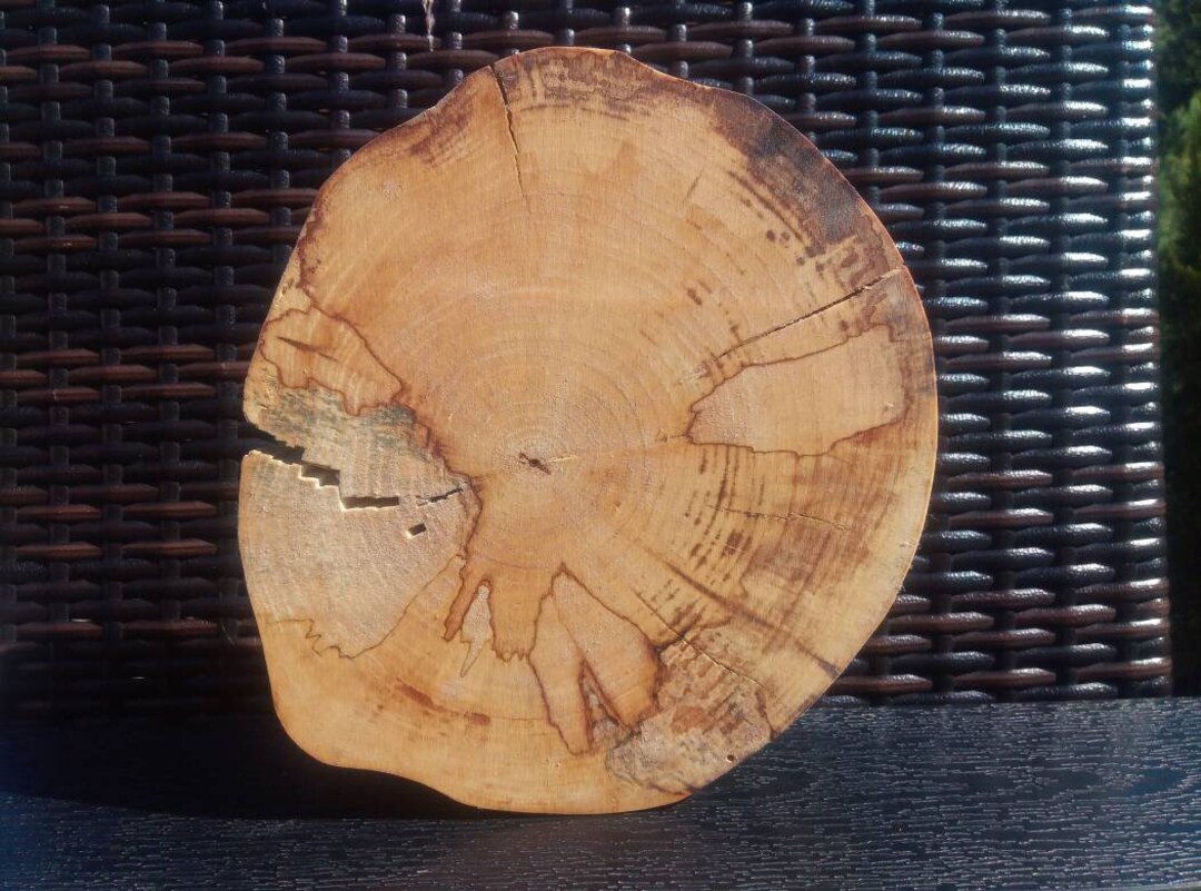 Tree Disc, Wooden Disc, Wood, Wooden Decoration, Decorative Disc ...