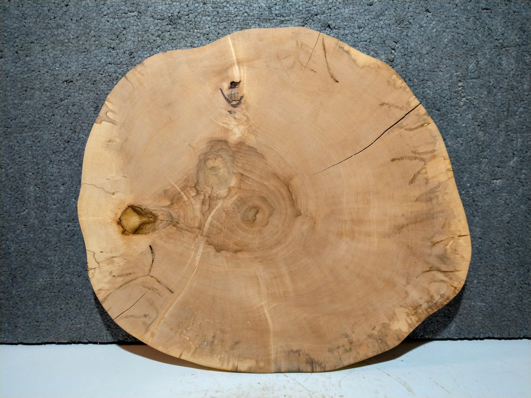 Large, Tree Disc, Wooden Disc, Wood, Wooden Decoration, Craft Wood ...